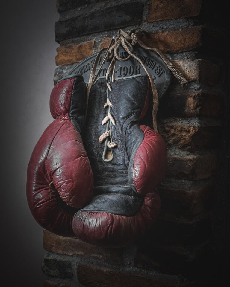 Las mejores marcas de guantes de boxeo en 2025, Everlast, Leone, Cleto ...